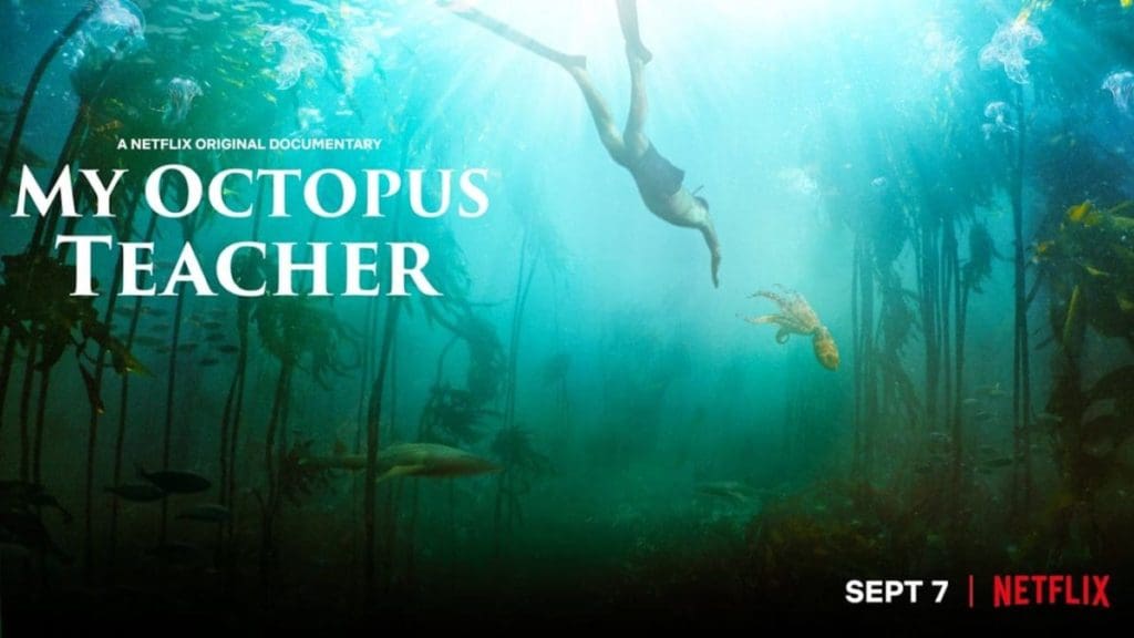 Netflix's My Octopus Teacher Review: In Nature is a Friend You Yearn ...