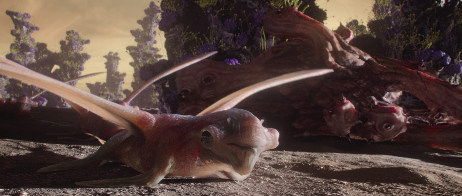 Netflix’s Alien Worlds Review: Life Here and Out There | Leisurebyte