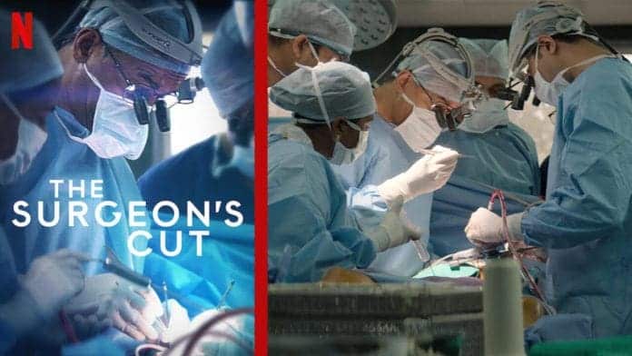 Netflix’s The Surgeon’s Cut: Artists in the Operating Theatre | Leisurebyte