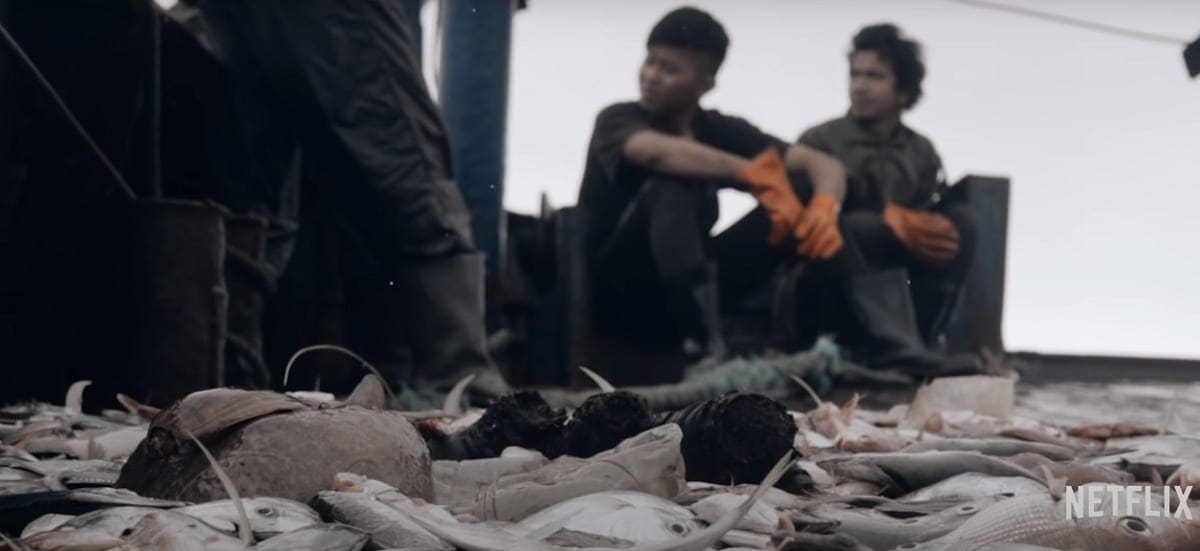 Netflix's Seaspiracy Review: An Eye-Opener Exposing The Awful Reality ...