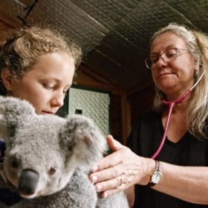 Netflix’s Izzy’s Koala World S2 Review: Little Munchkins! | Leisurebyte