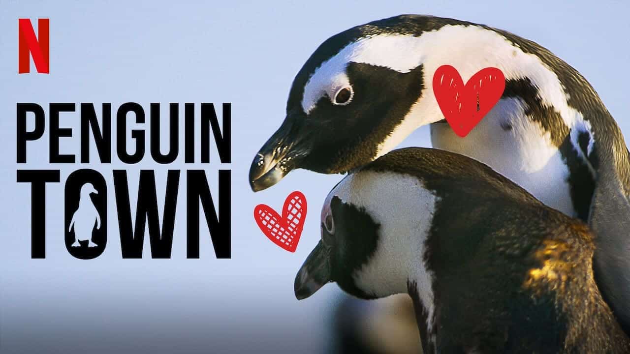 Penguin Town Season 1 Review: A Documentary Like Never Before | Leisurebyte