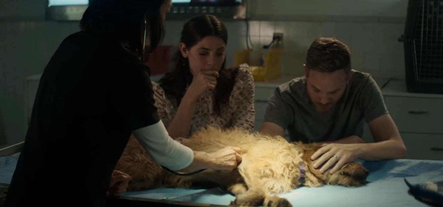 Aftermath (2021) Review: Decent Thriller Keeps It Going | Leisurebyte