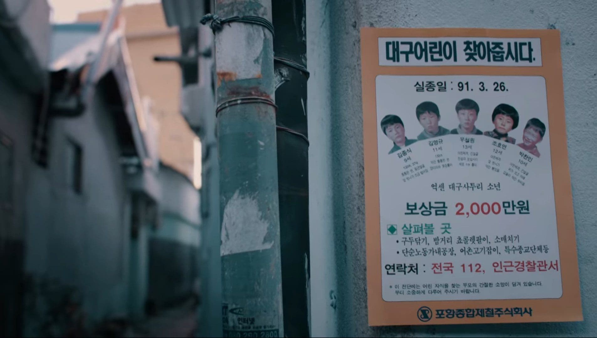 In Search of the Frog Boys (2019) Review: Awfully Heartbreaking ...