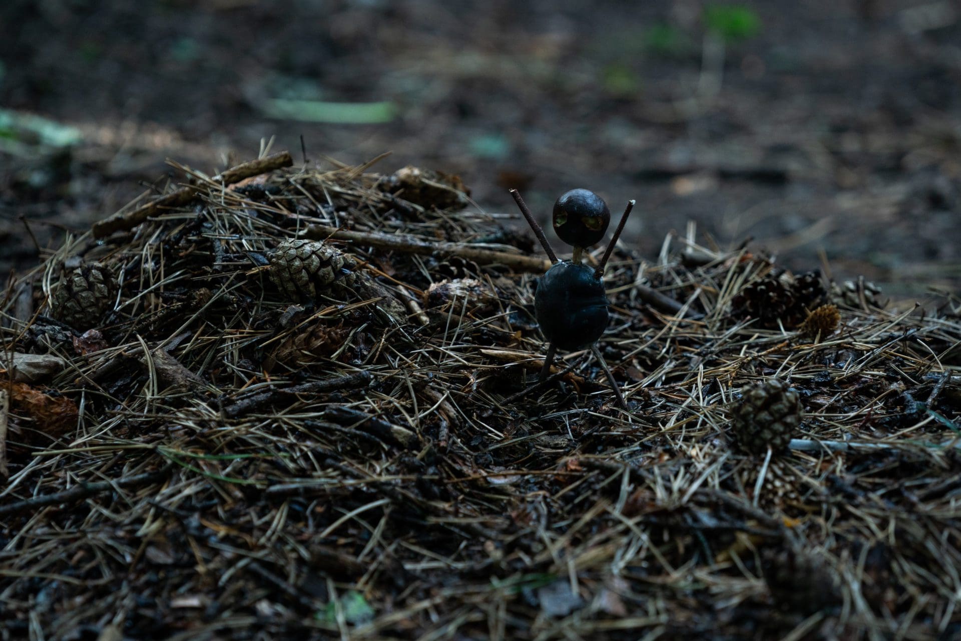 Netflix's The Chestnut Man Review: Thrilling Till the End | Leisurebyte