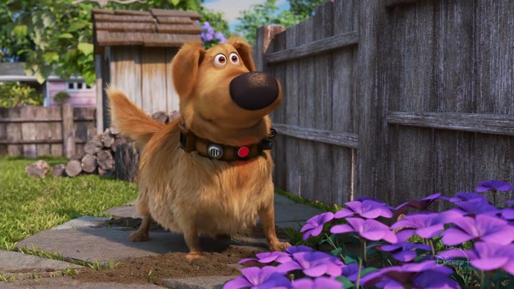 Disney-Pixar's Dug Days Review: Pawket Full of Happiness | Leisurebyte