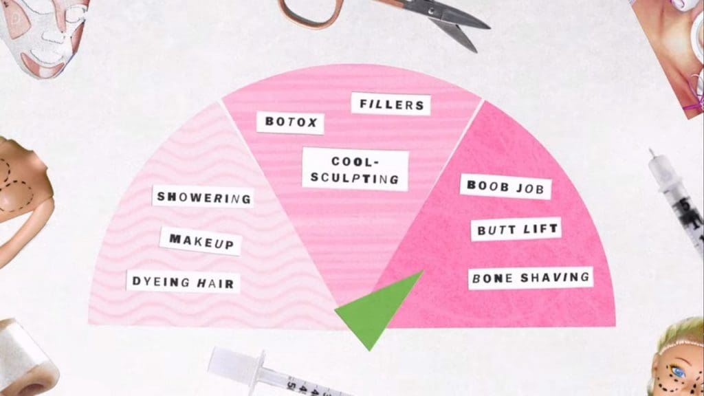 Netflix's Explained Season 3 Episode 10 Recap: Plastic Surgery ...