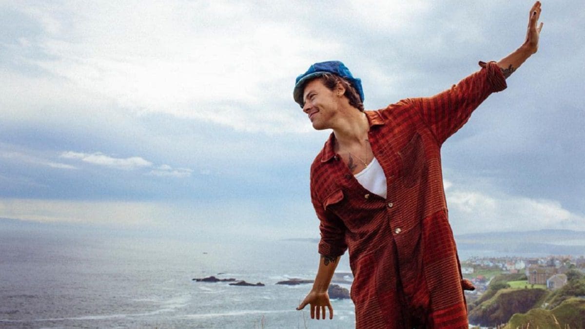 Harry Styles Gives Meme Content To Fans, All Thanks To Canyon Moon ...