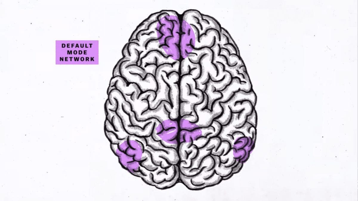 Netflix's The Mind Explained Season 2 Review: Insightful, Like Always ...