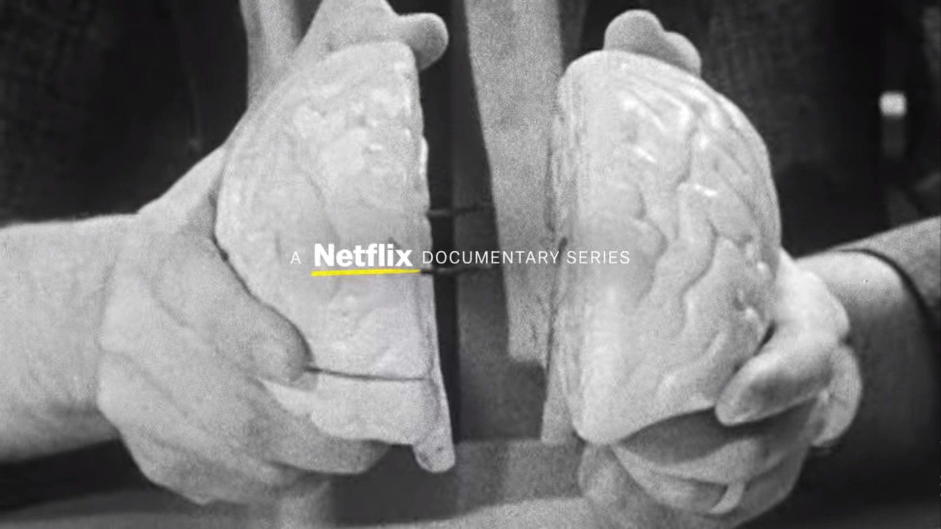 Netflix's The Mind Explained Season 2 Review: Insightful, Like Always ...