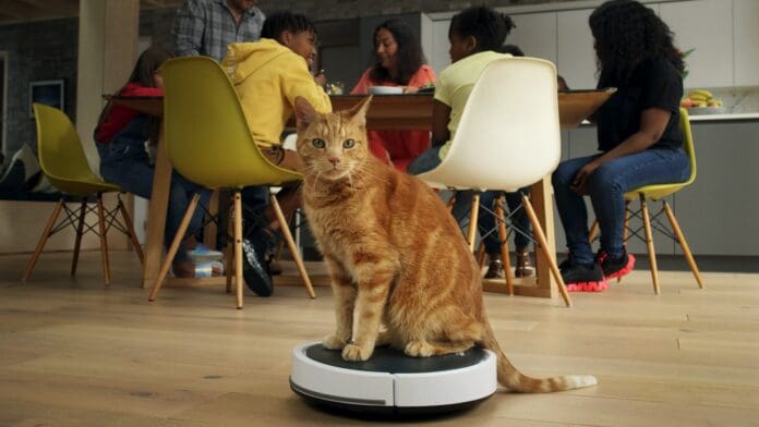 The Hidden Lives of Pets Review: Animals With Super Powers