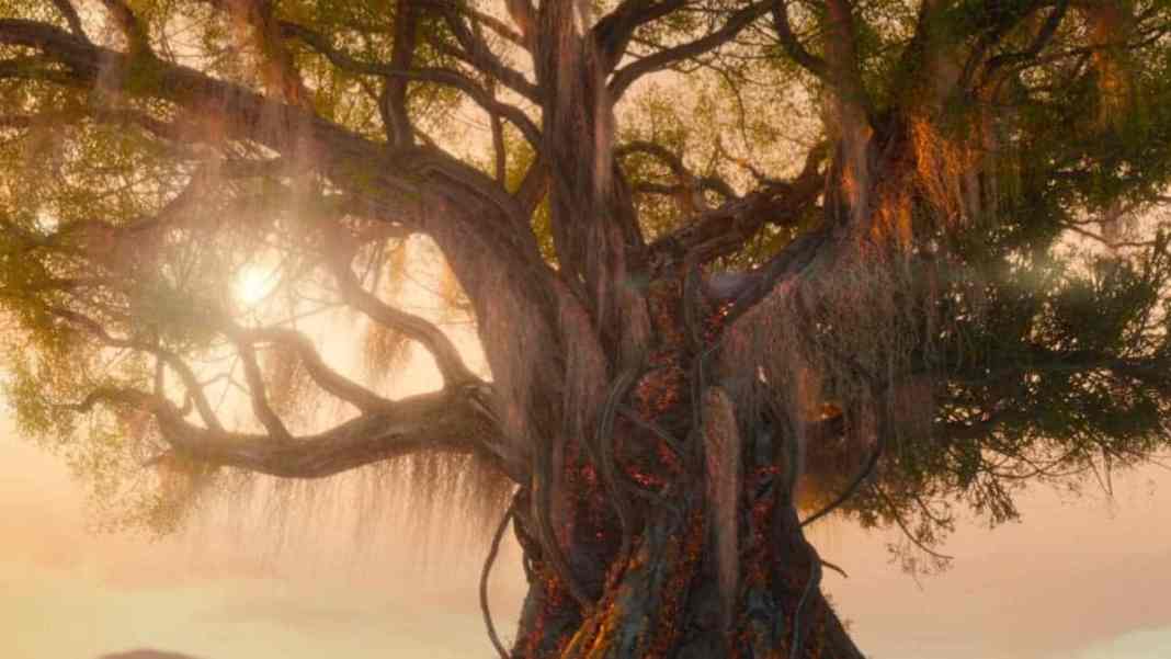 The Brave Ones: All to Know About the Upcoming South African Fantasy ...