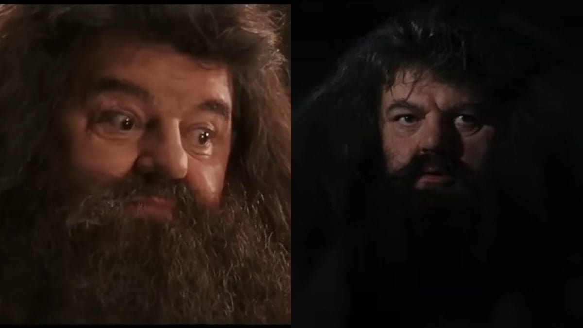Rubeus Hagrid: 5 Iconic Moments of the Gentle Giant From the Harry ...