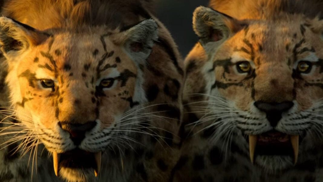 Upcoming Netflix Nature Documentaries to Look Forward to | Leisurebyte