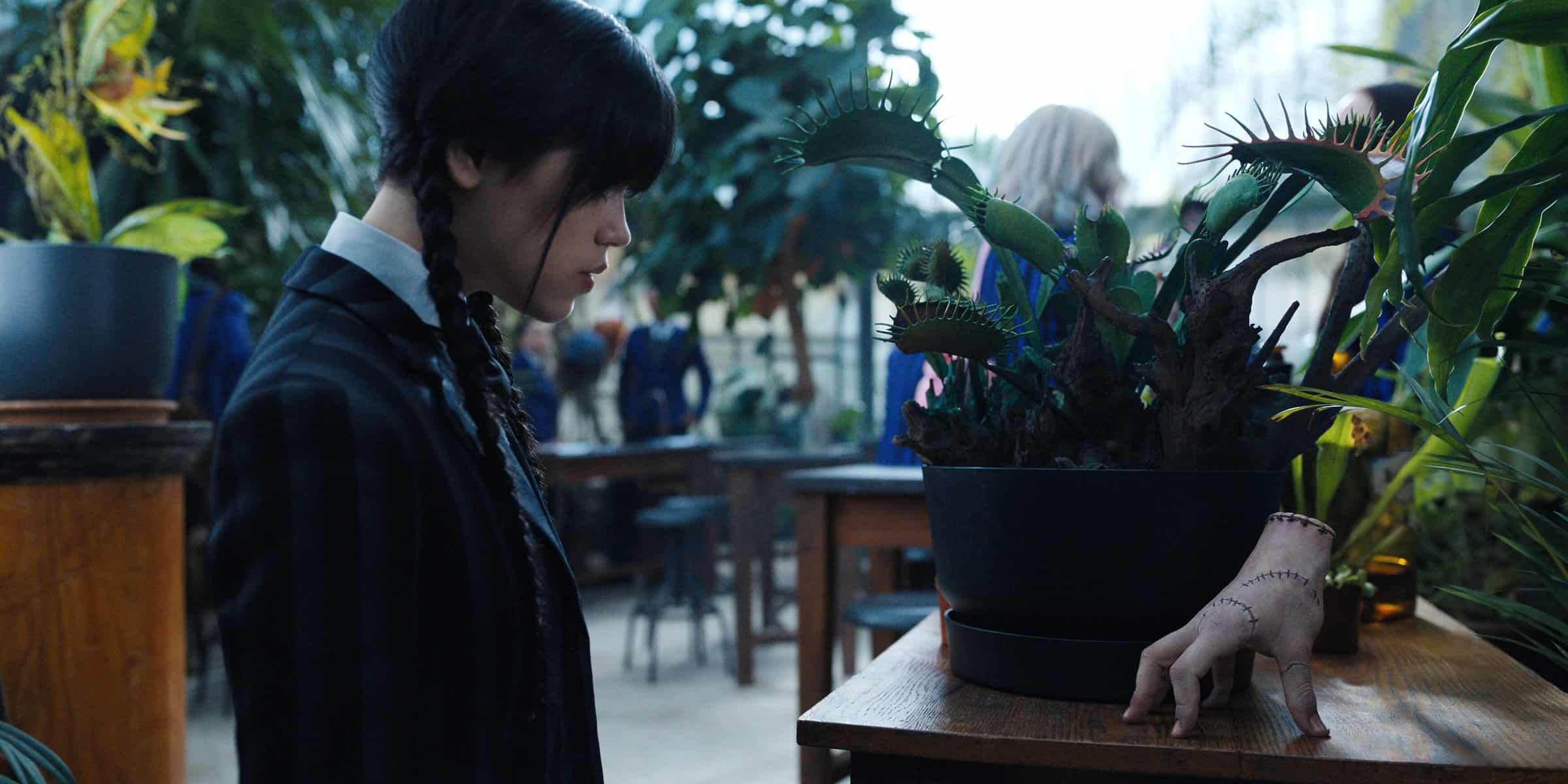 Wednesday Review: The Mindreading Addams' Girl Wins With Her Super Sass ...