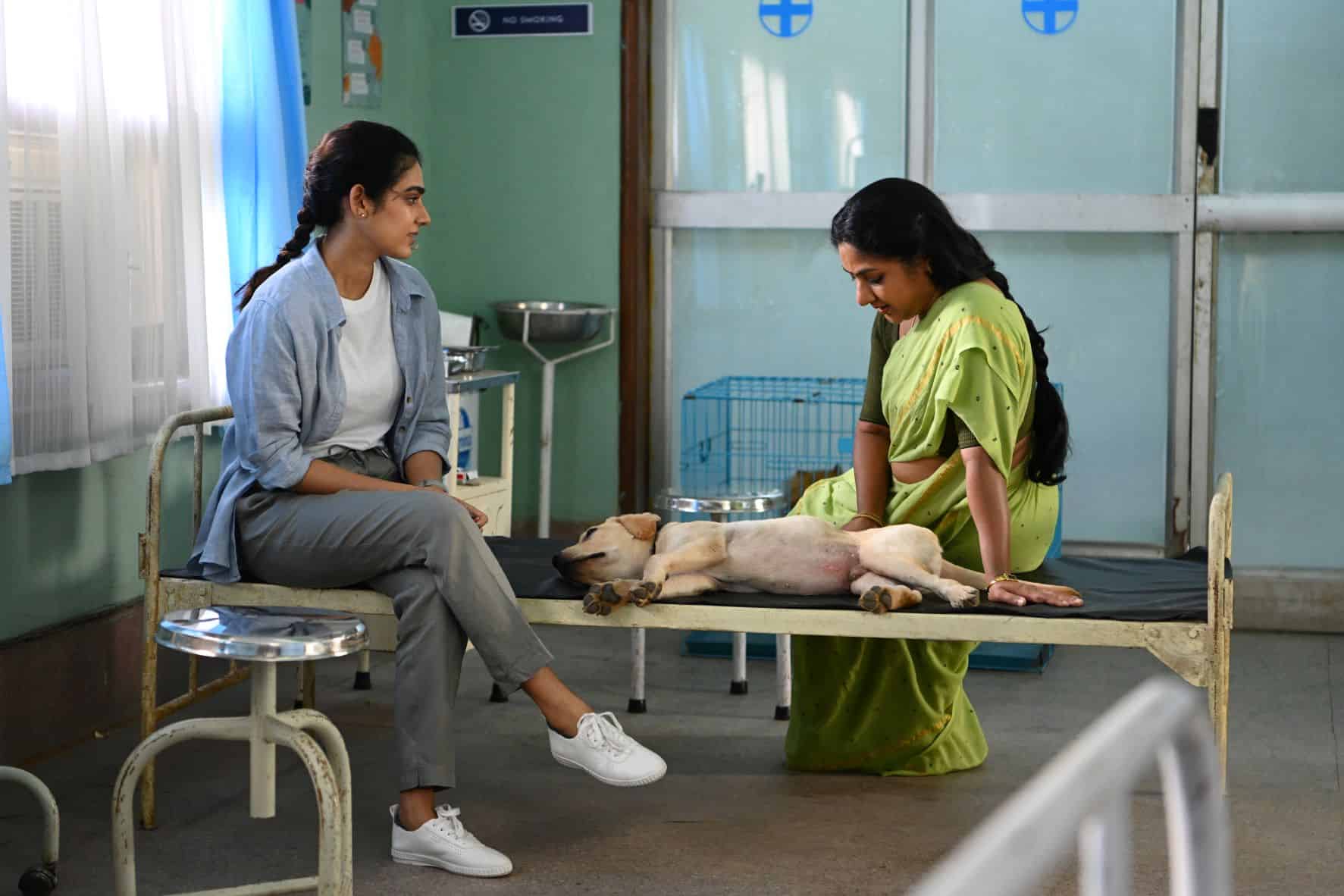 Meet Cute Review: Average Anthology is Cute From Afar | Leisurebyte