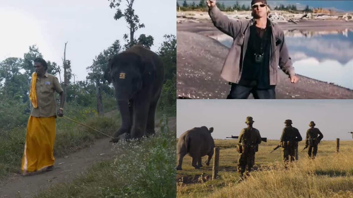 Loved Watching The Elephant Whisperers? Here are 5 Wildlife ...