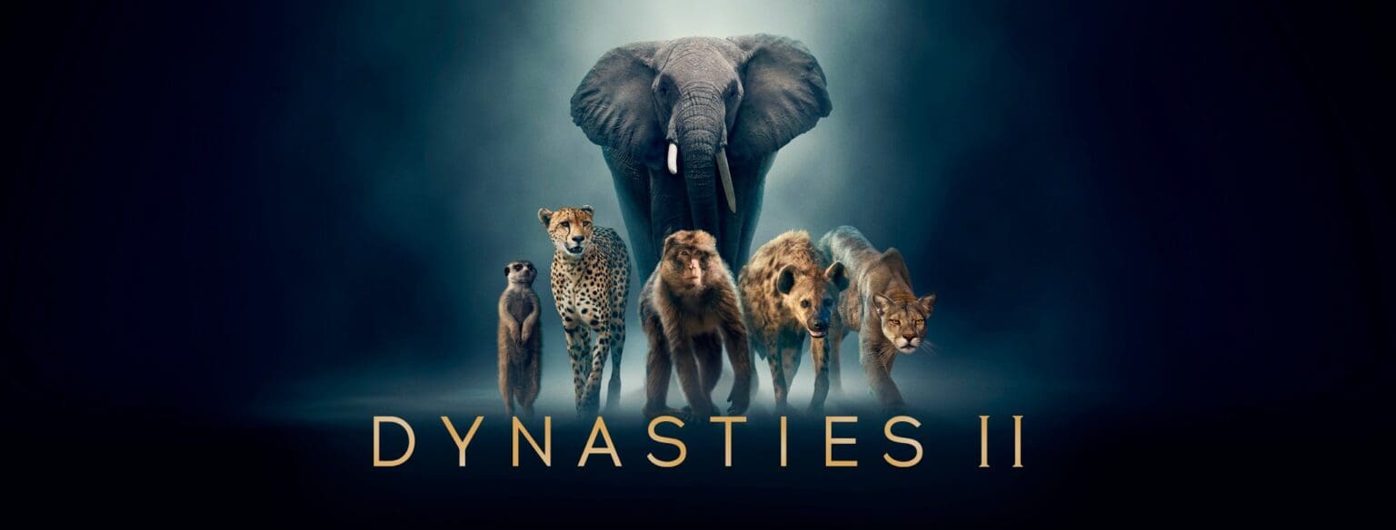 Dynasties II Review: David Attenborough Series is Extremely Emotional | Leisurebyte