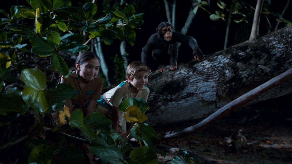 Jane's Wildlife Tagging Adventure: Polar Bears, Great White Sharks, and ...