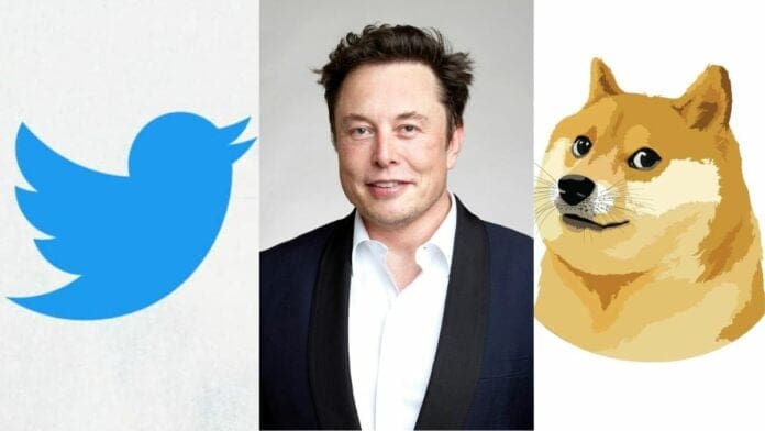 Infamous 'Doge' Meme Replaces Iconic Twitter Logo; Hilarious Memes and ...