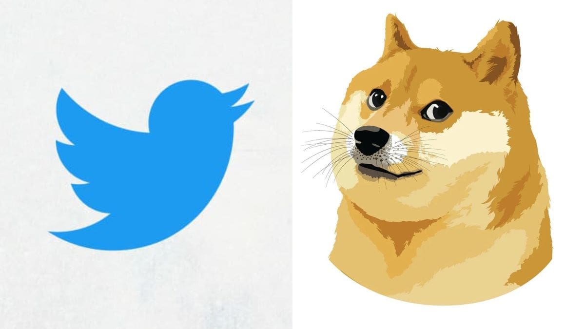 Infamous 'Doge' Meme Replaces Iconic Twitter Logo; Hilarious Memes and ...