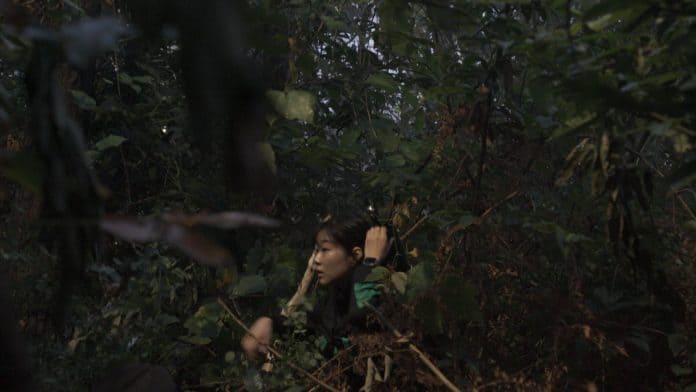 Siren Survive the Island Reactions: Twitter's Excitement For Netflix's ...