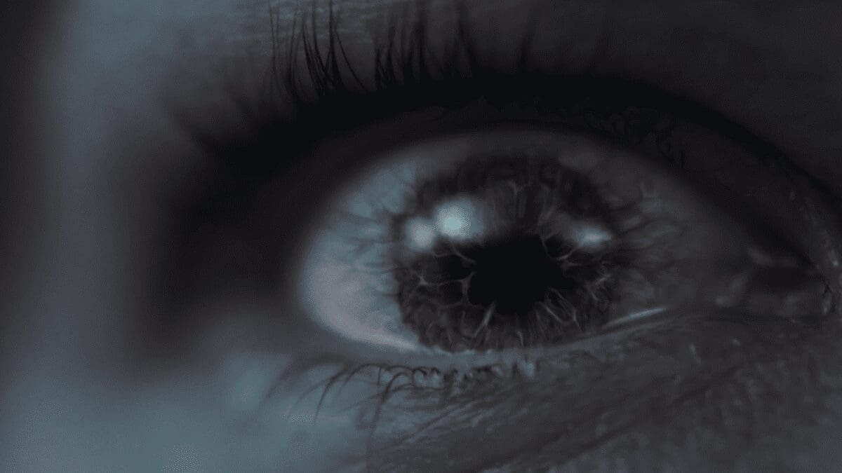 Bird Box Barcelona Ending Explained: Did Sebastian Save Claire and Sophia?