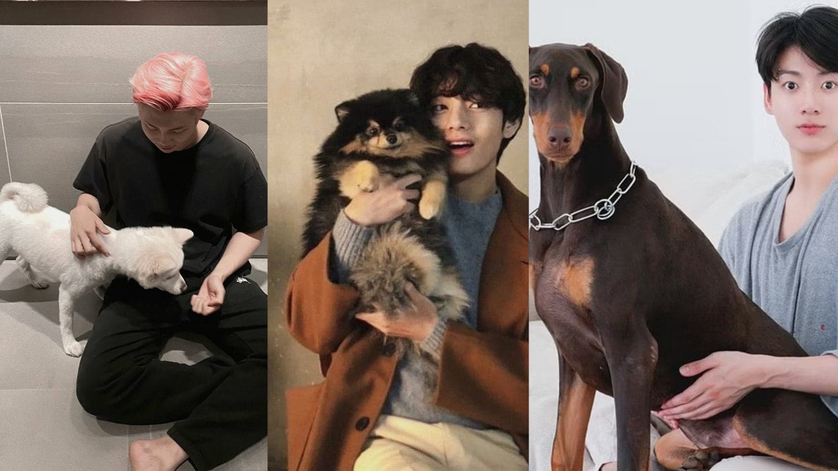 BTS Members and Their Adorable Pets: RM’s Monie, V’s Yeontan, Jungkook ...