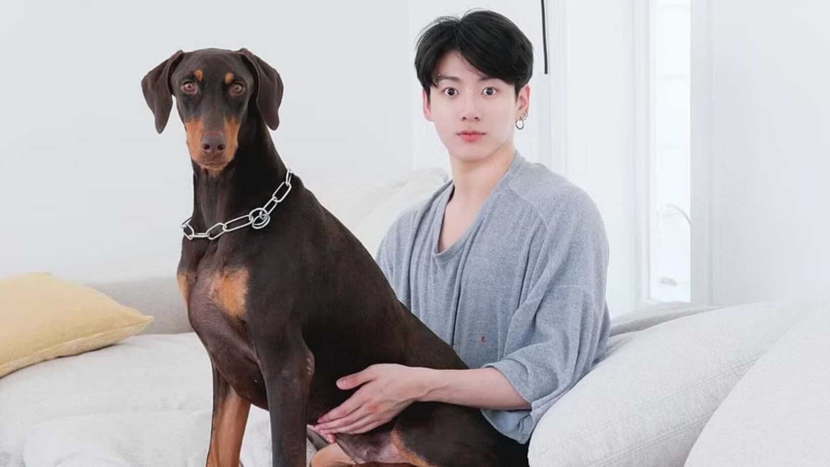 BTS Members and Their Adorable Pets: RM’s Monie, V’s Yeontan, Jungkook ...