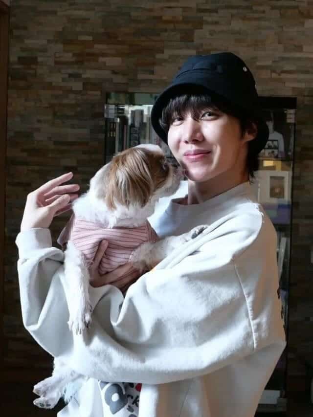 BTS Members and Their Adorable Pets | Leisurebyte