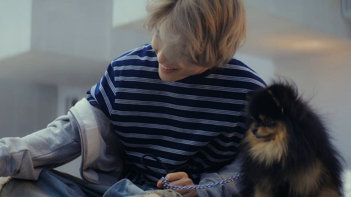 V Layover Album Review by Netizens: Kim Taehyung is Crowned a "High ...