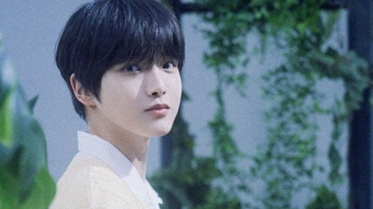 NCT New Team Debut Update: Jungmin Quits the Septet; Here's What ...