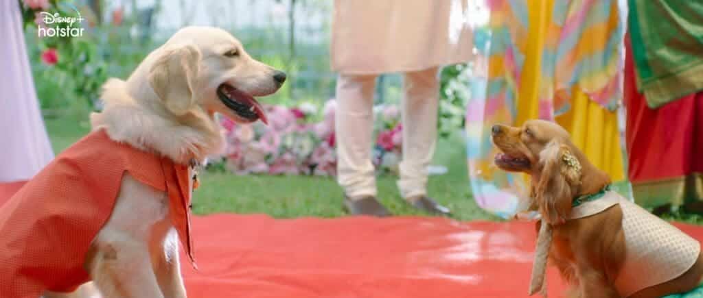 Valatty Review: Human Treatment of Cute Canines Feels Weird and ...