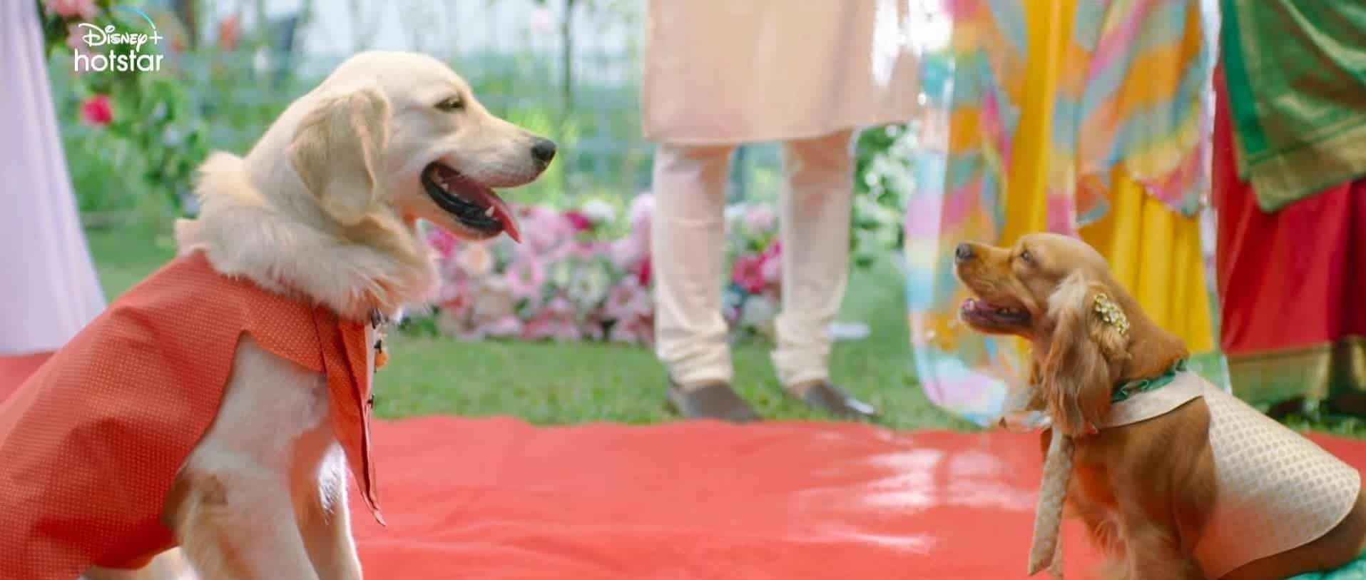 Valatty Review: Human Treatment of Cute Canines Feels Weird and ...
