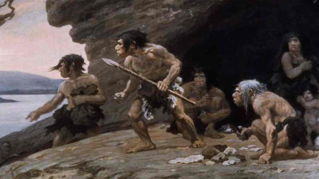 Secrets Of The Neanderthals Review: Interesting and Informative ...