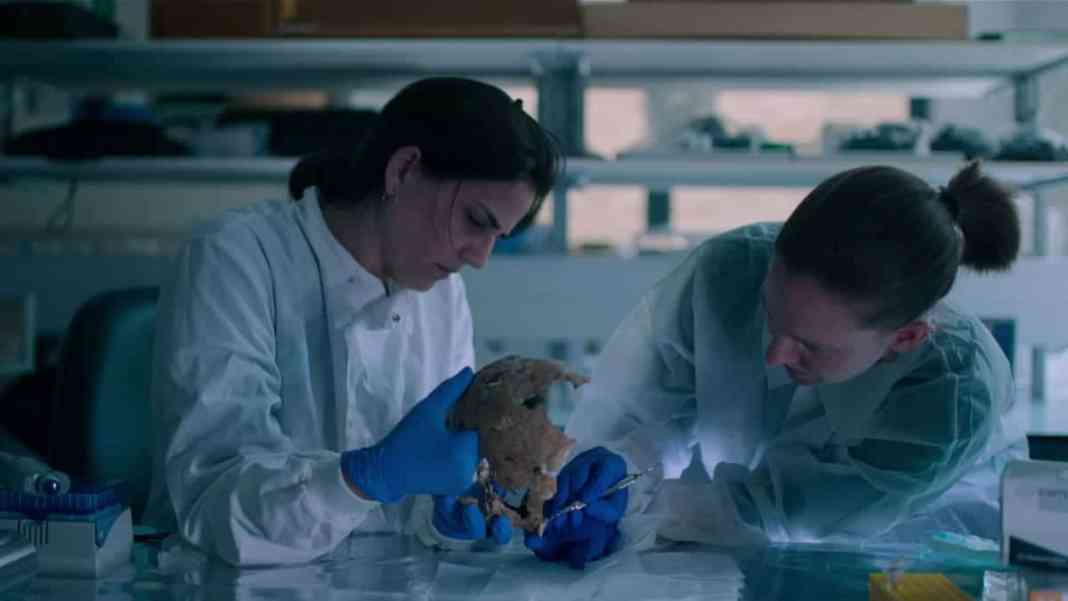 Secrets Of The Neanderthals Review: Interesting and Informative ...