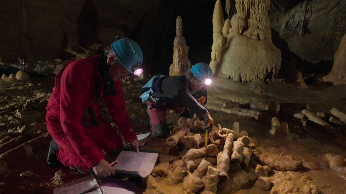Secrets Of The Neanderthals Review: Interesting and Informative ...