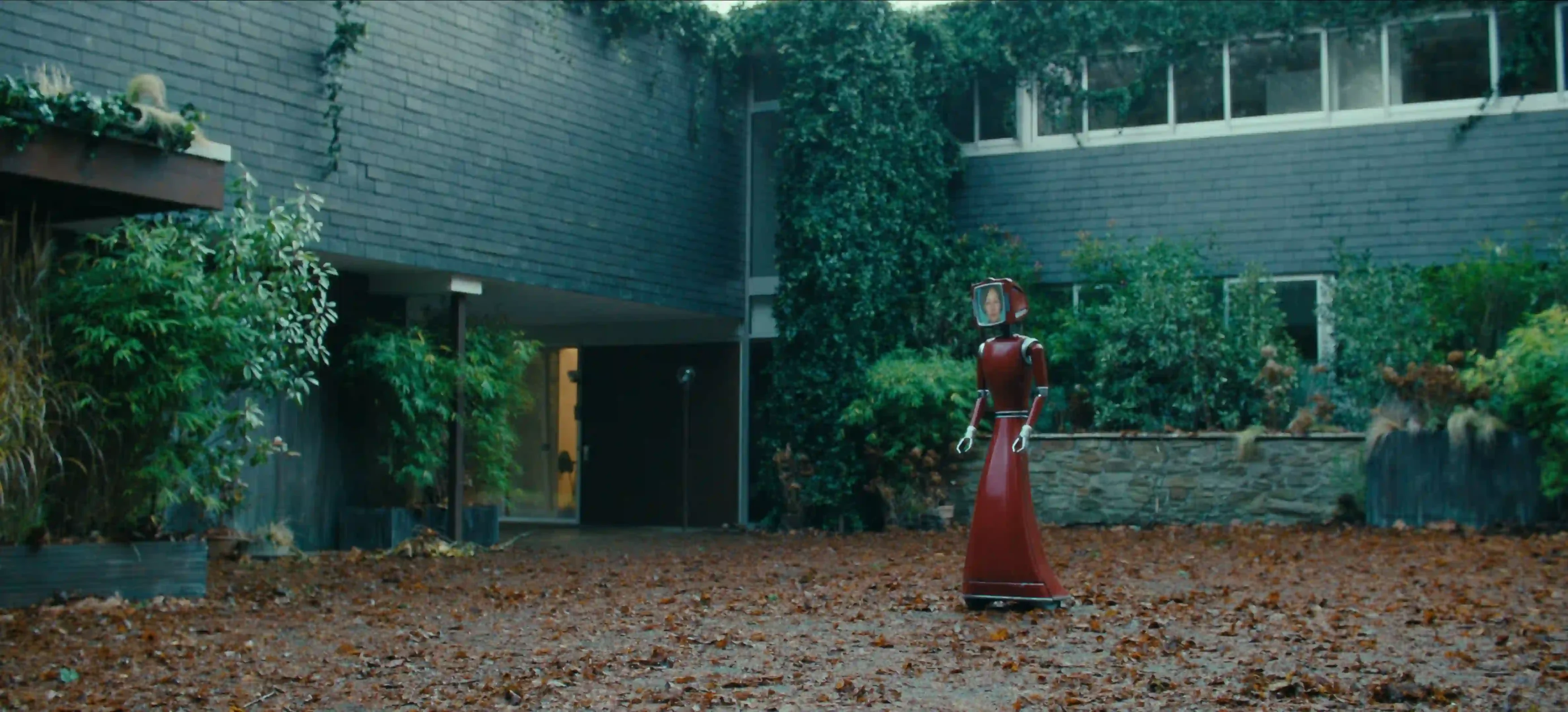 Cassandra Ending Explained | Leisurebyte