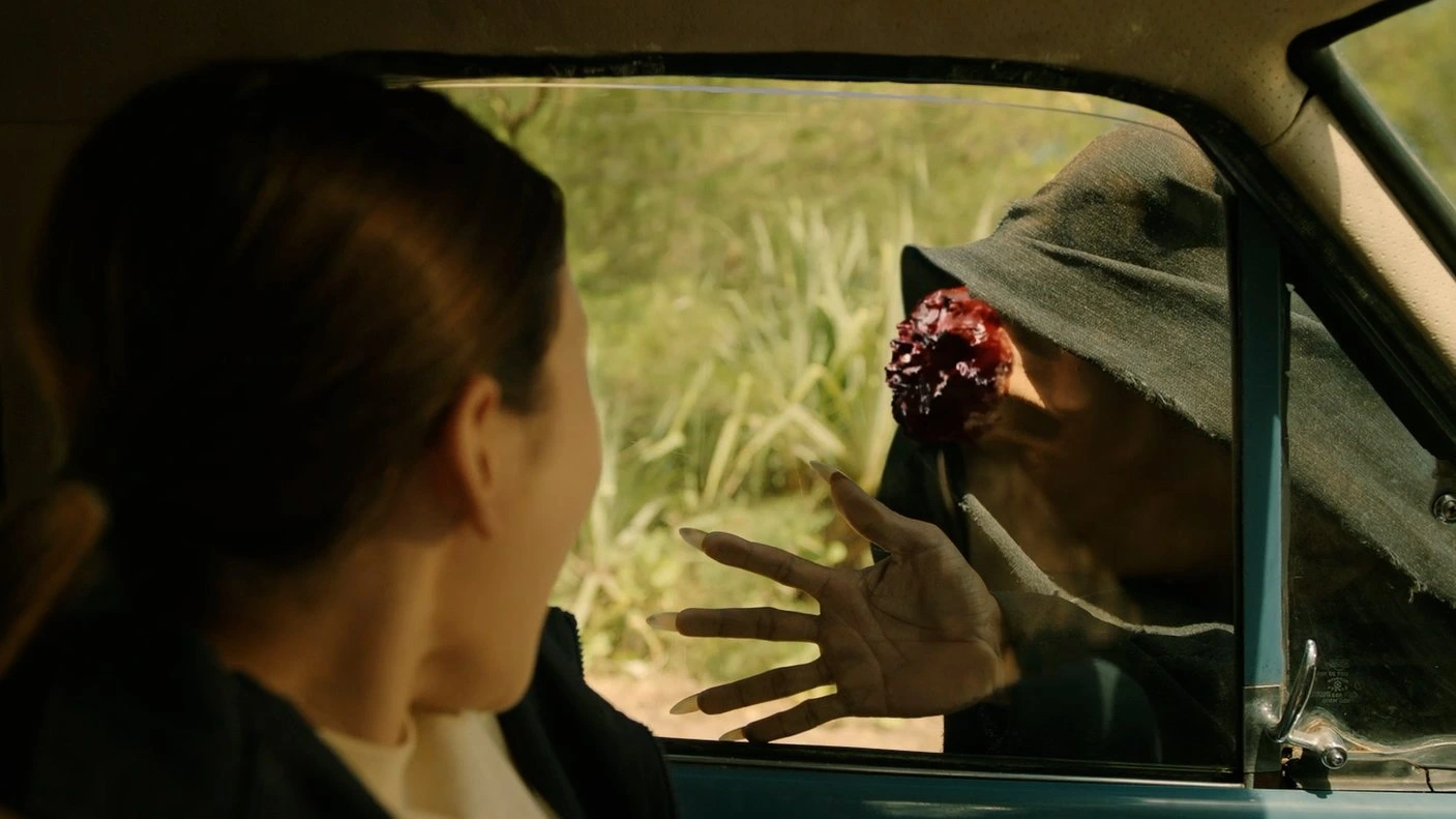 Curse of the Seven Seas Review | Leisurebyte